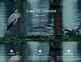 Environmental Archives - ELEVATION