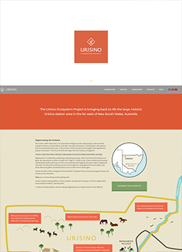 Environmental Archives - ELEVATION