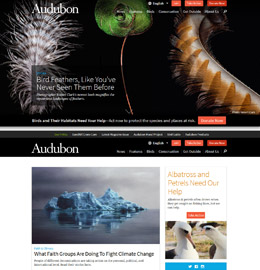 Environmental Archives - ELEVATION