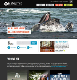 Environmental Archives - ELEVATION