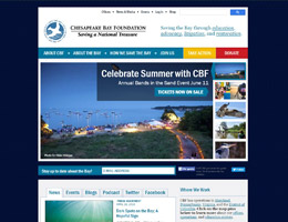 Environmental Archives - ELEVATION